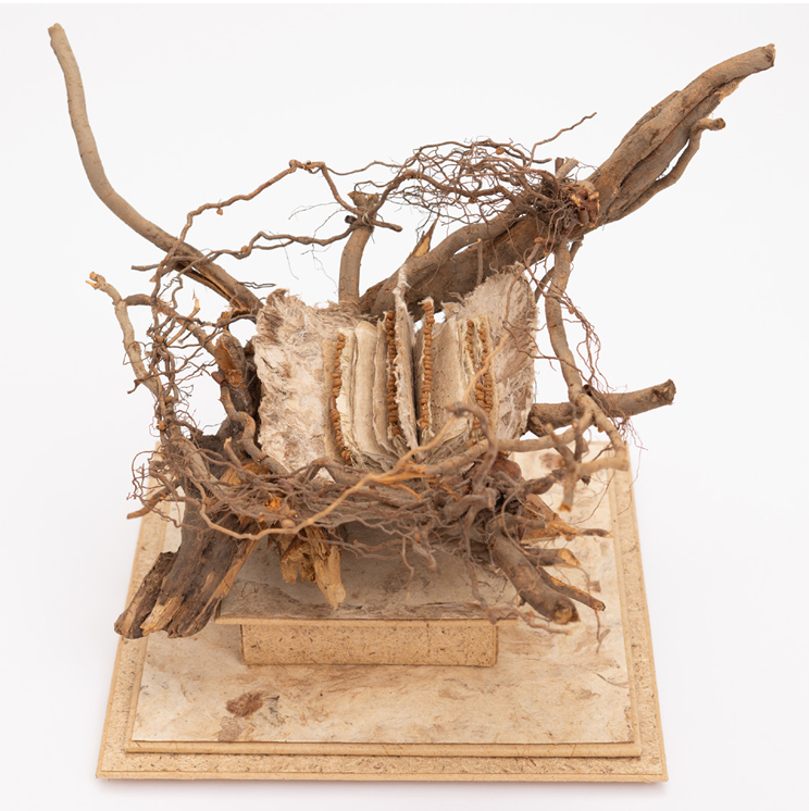 CHALK Gallery announces new exhibit | Local News | newburyportnews.com