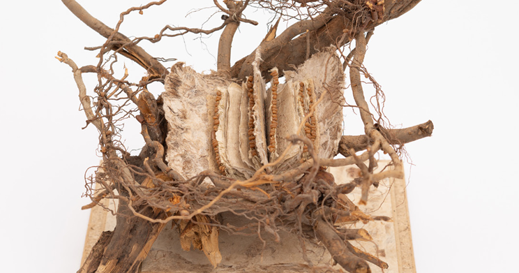 CHALK Gallery announces new exhibit | Local News | newburyportnews.com