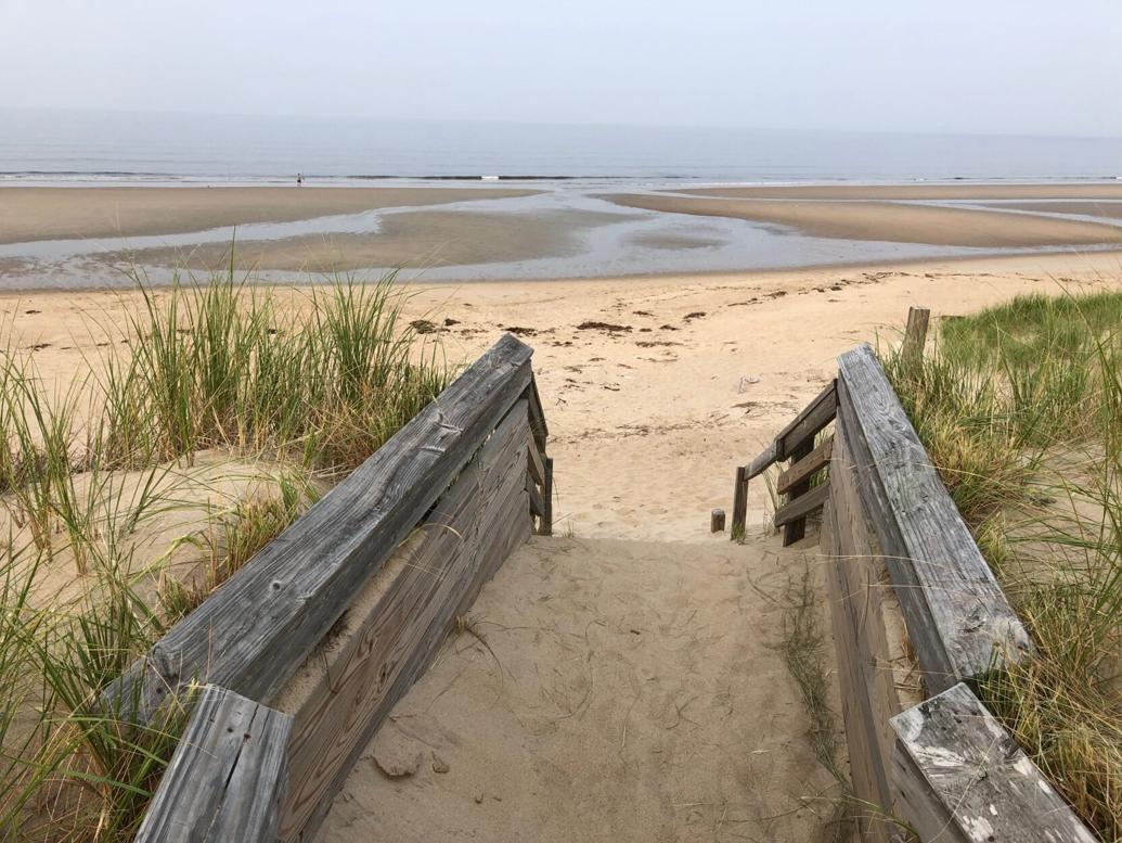 More of Parker River National Wildlife Refuge beach opens | Local News ...