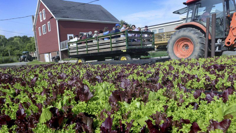 Cider Hill Farm lauded for its marketing plan | Local News ...