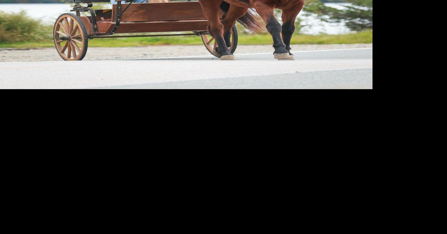 Horse power | Photos | newburyportnews.com