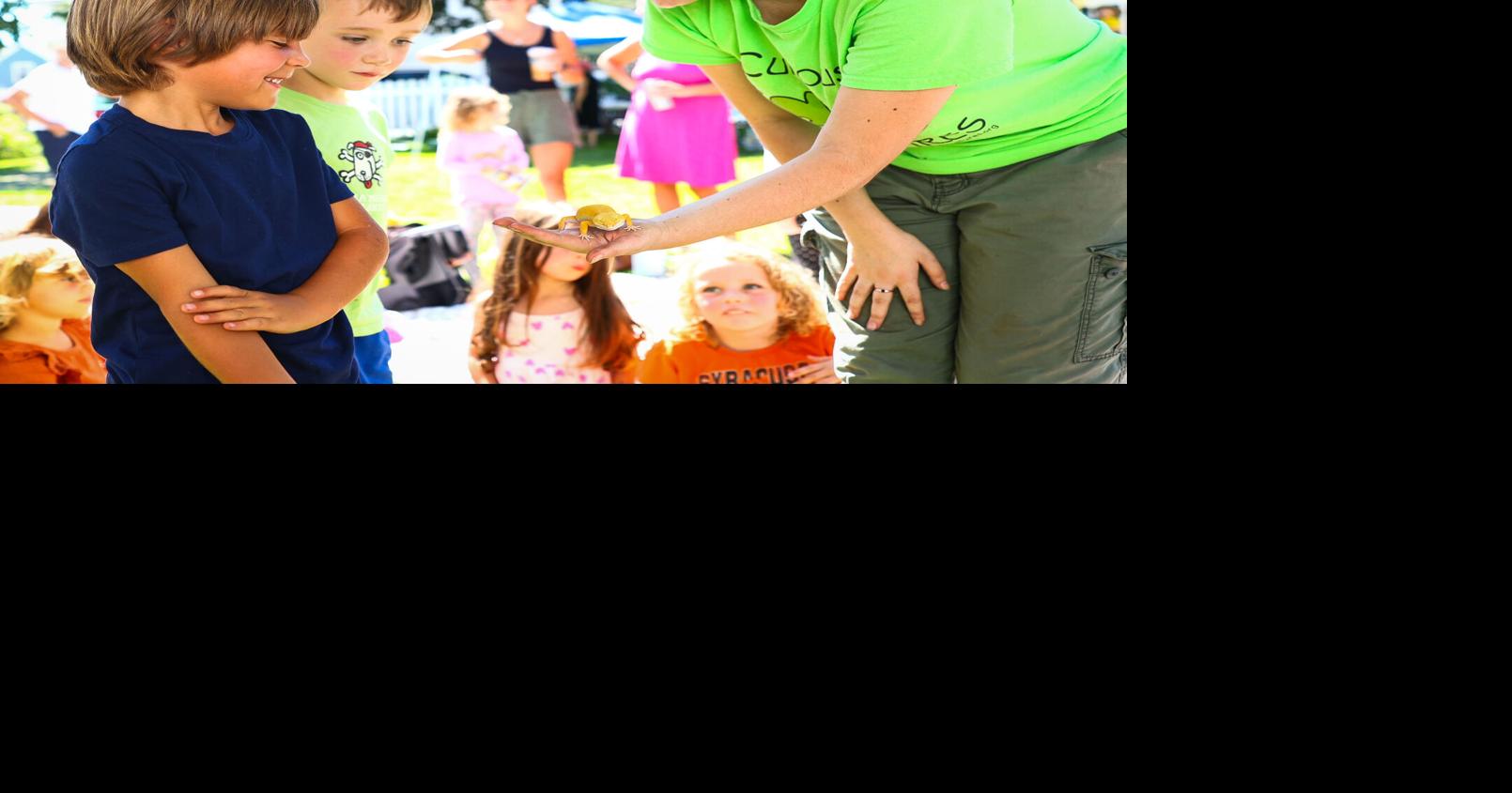 Hello gecko | Photos | newburyportnews.com