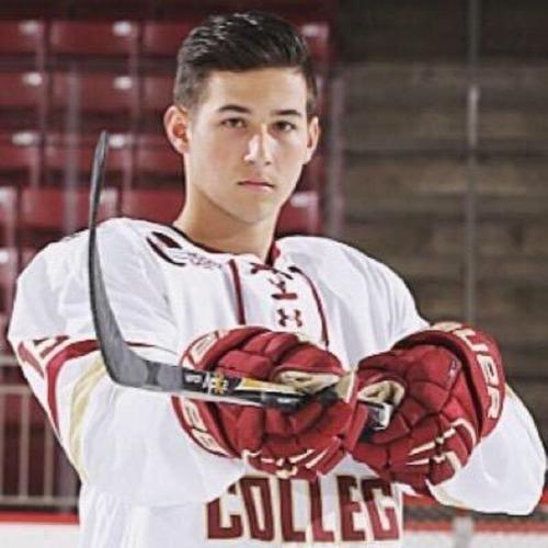 Semi-area hockey pros excelling in NHL, AHL, overseas | Sports ...