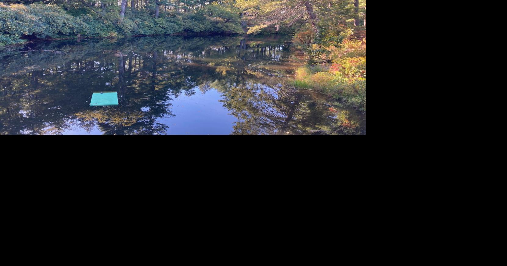 DCR unveils interactive fall foliage map | Regional News ...