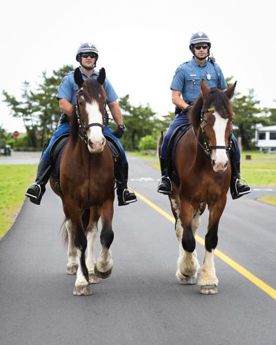 Quite a view up there | Photos | newburyportnews.com
