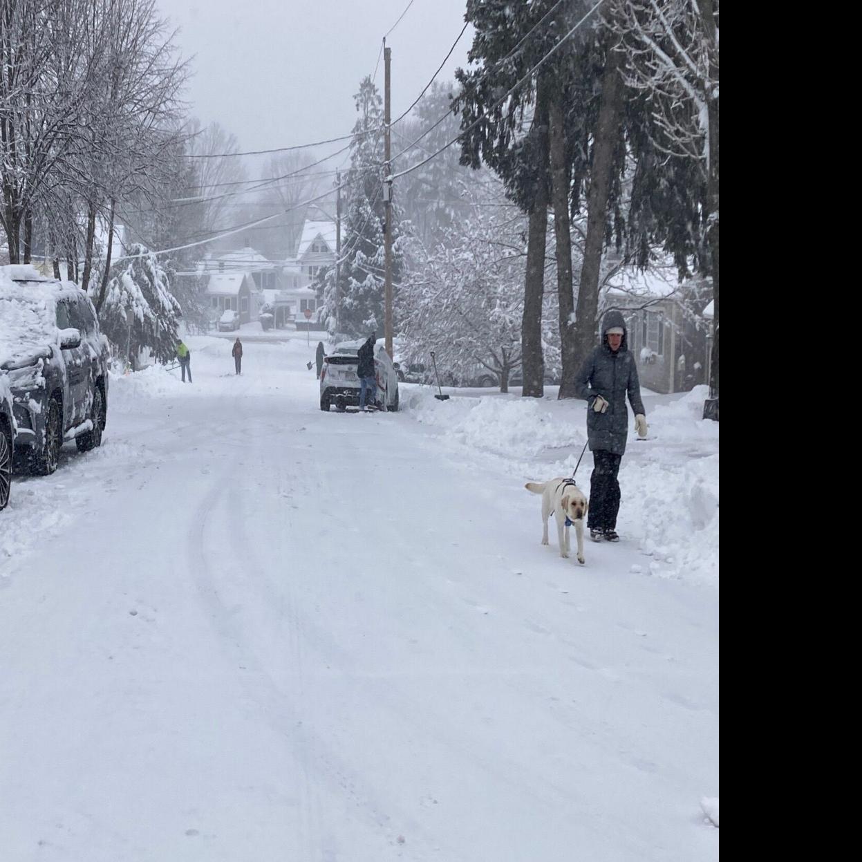 George Carr, pioneer in local ferry industry | Opinion ...