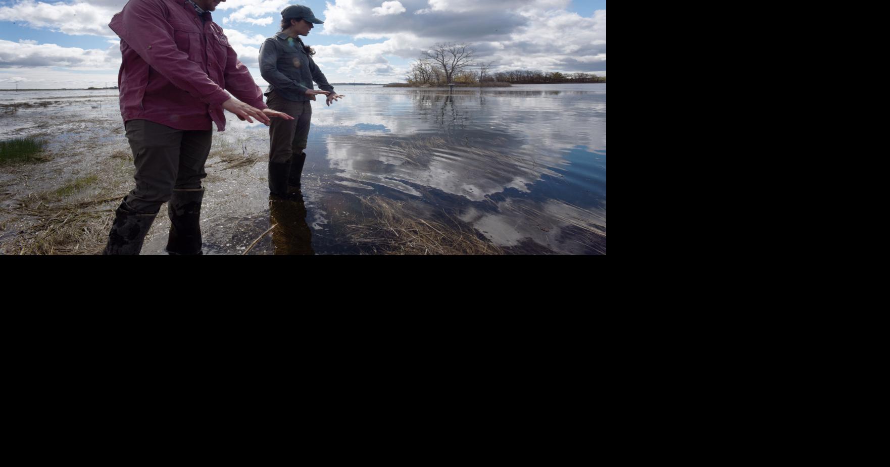 SLIDESHOW: Woods Hole researchers study Great Marsh pollution ...