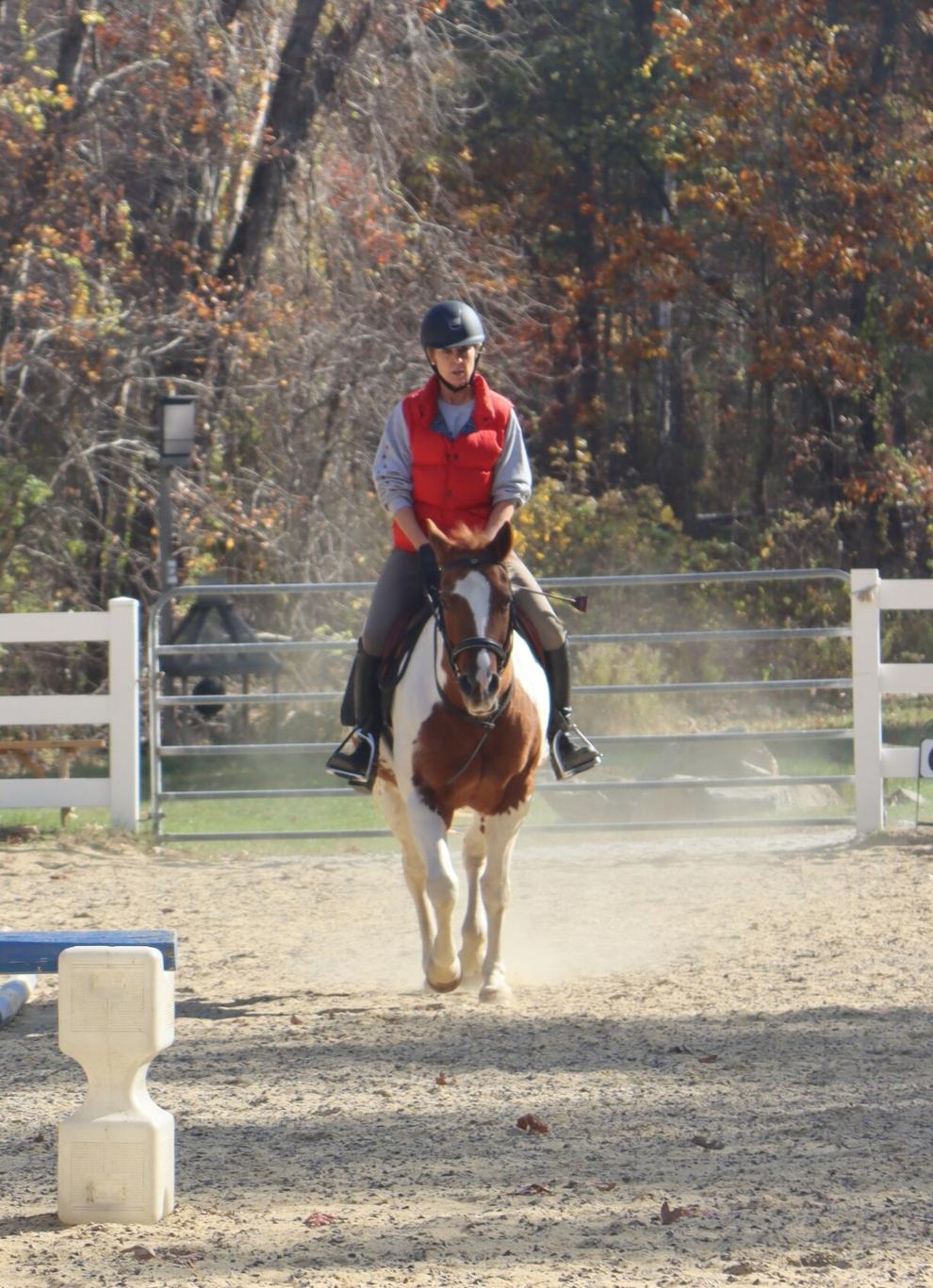 Windrush Farm offering free horse rides | Regional News | newburyportnews.com
