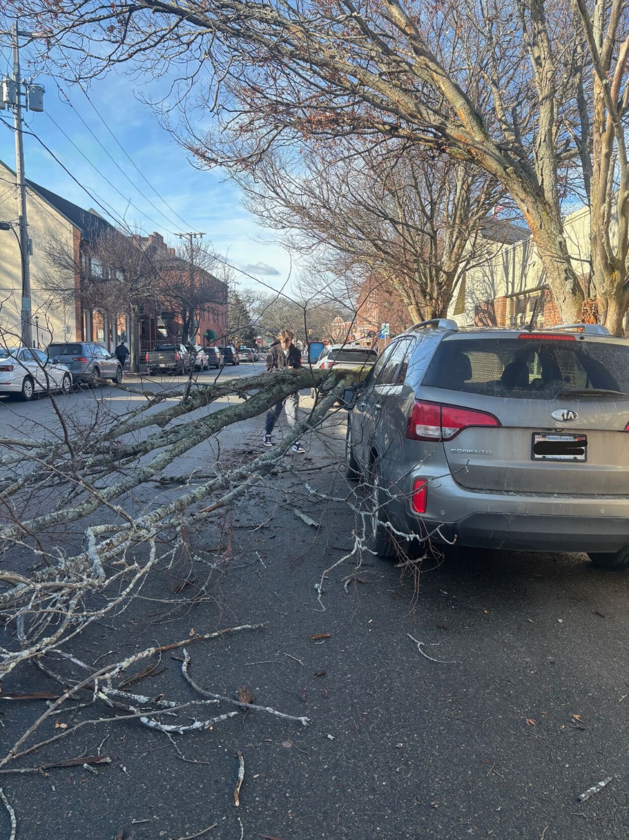 Parked car damaged by fallen tree limb | Photos | newburyportnews.com
