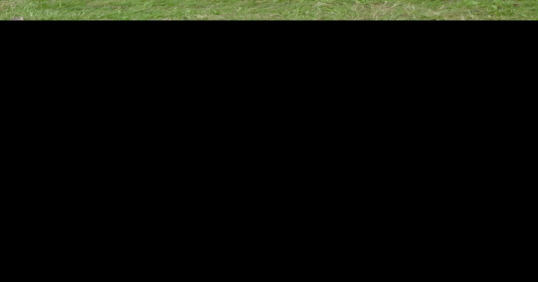 Captains Corner: Pentucket Cheer | Sports | newburyportnews.com