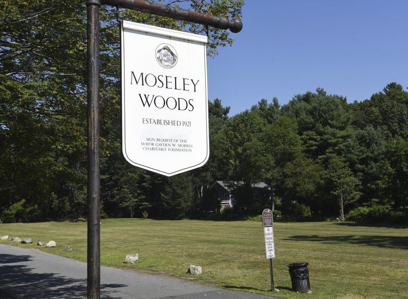 Moseley Park might be dogs' best friend | Local News | newburyportnews.com