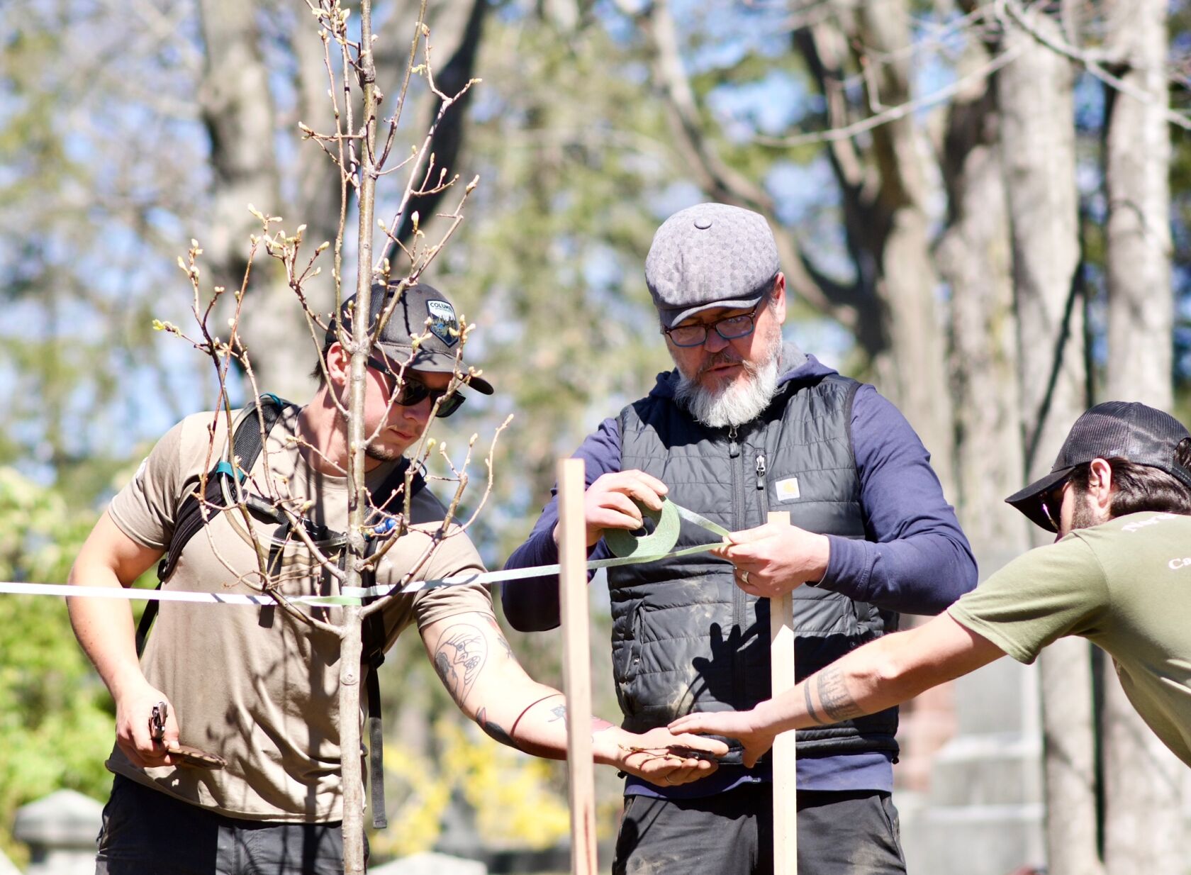 A tree grows in Oak Hill | Photos | newburyportnews.com