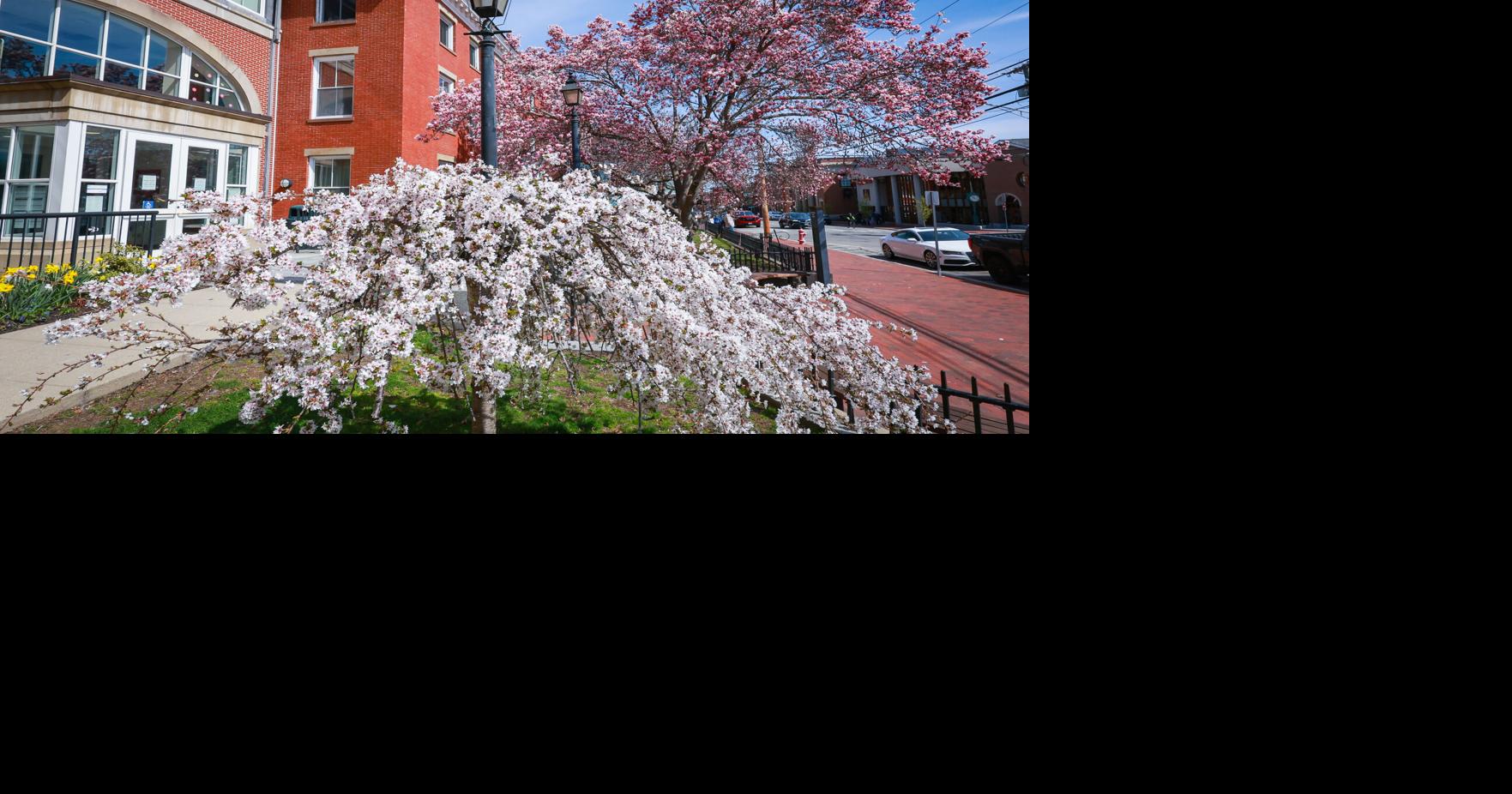 October events at Newburyport Public Library | Local News ...