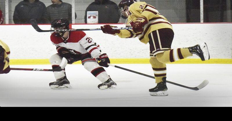 Daily News Boys Hockey All-Stars 2020-21: Spence ‘best player on the ...