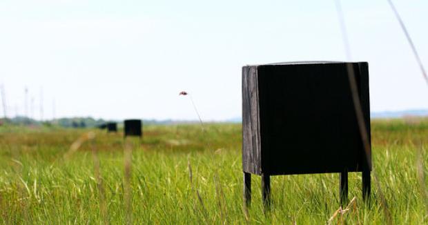Greenhead traps take big bite out of swarms | Local News ...