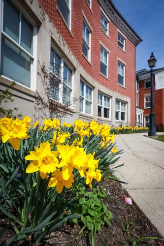 November events at Newburyport Public Library | Local News ...