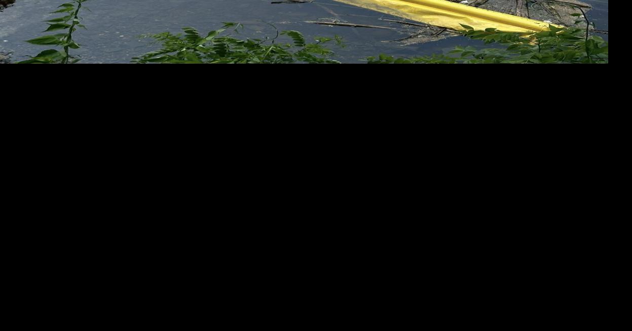 Whittier students help remove pollution from Merrimack | Regional News ...