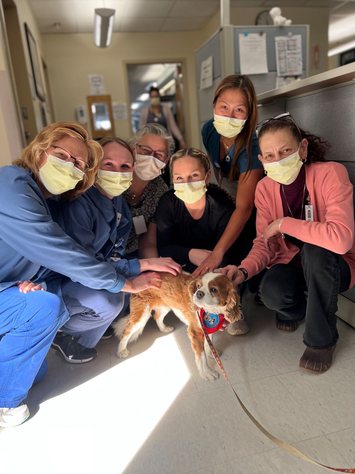Therapy dog visits Anna Jaques | Photos | newburyportnews.com