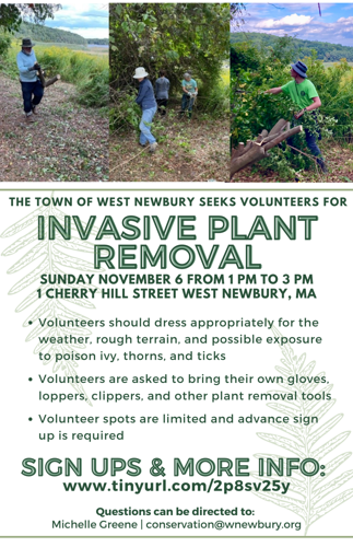 West Newbury hosting invasive plant removal day | Local News ...