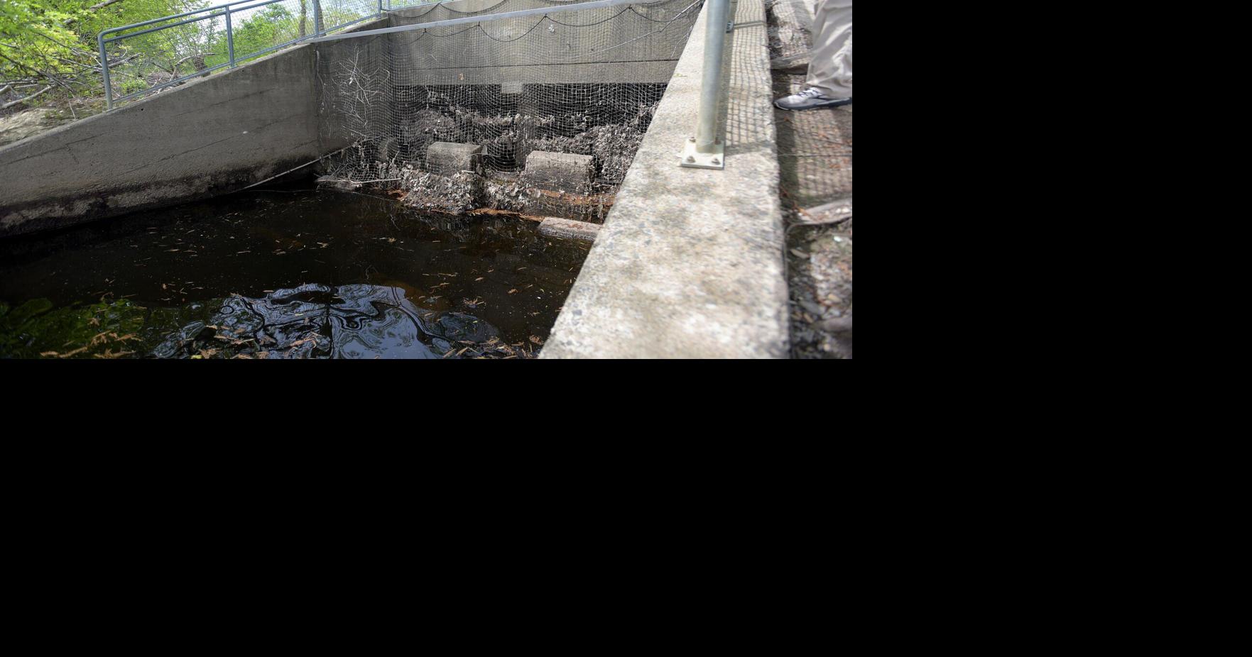 Merrimack River water quality concerns resurface | Local News ...