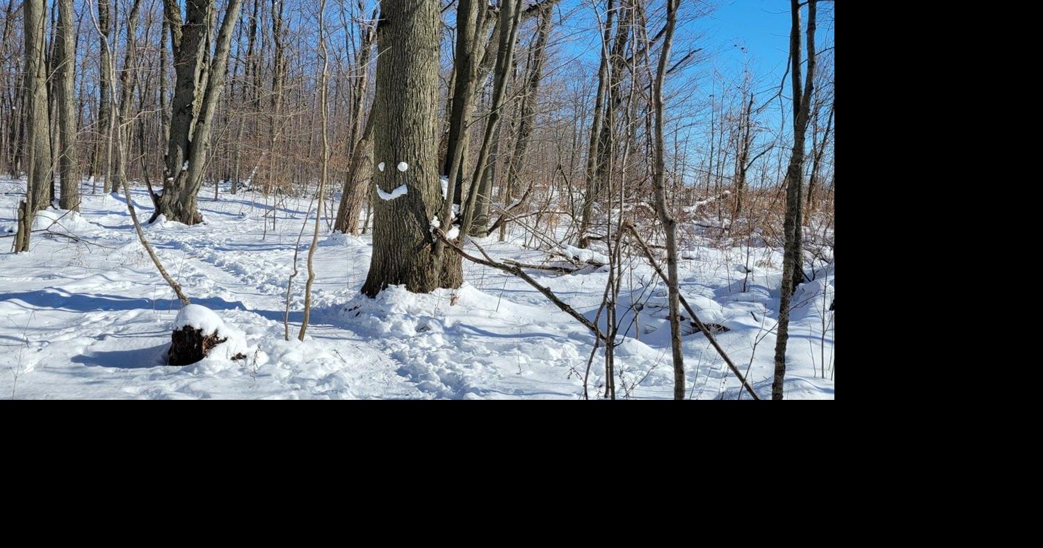 Wilmot Township Through Your Lens: Smiley tree on Walker Woods