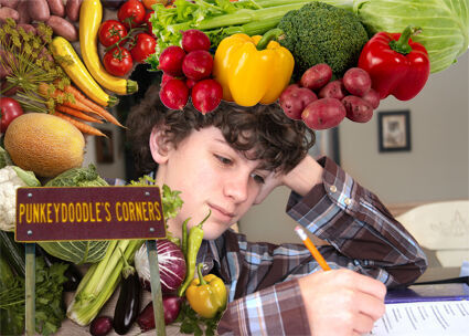 New museum slated for Punkeydoodles Corners