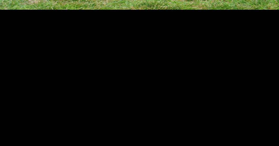 Family Fun Day, puppet making activity among July events at Museum of ...