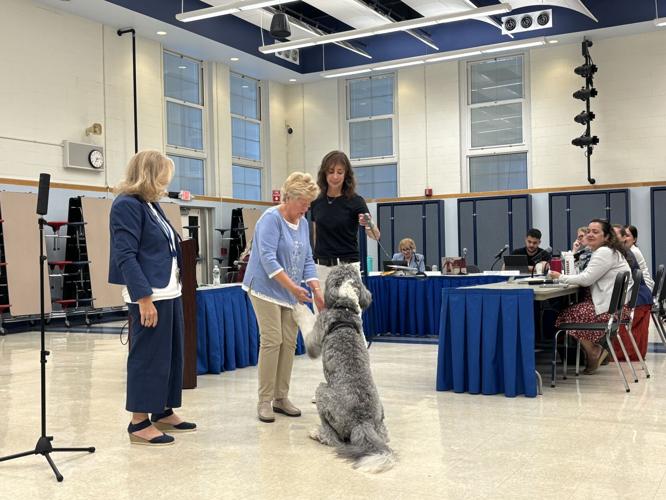 Furry friend from Creature Comfort Pet Therapy visits Watchung school ...