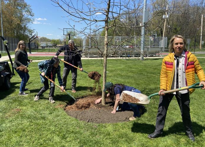 Florham Park celebrates Arbor Day with planting of two trees | News ...