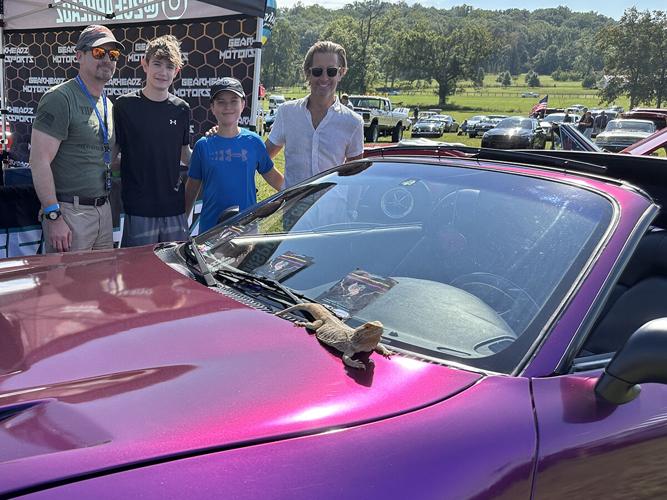 HAPPENINGS IN THE HILLS: Classy Chassis Thrill at Peter Chesson ...