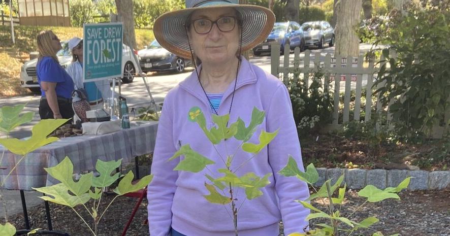 Native plants to star at Garden Tour and Plant Sale Sept. 6 in Madison ...