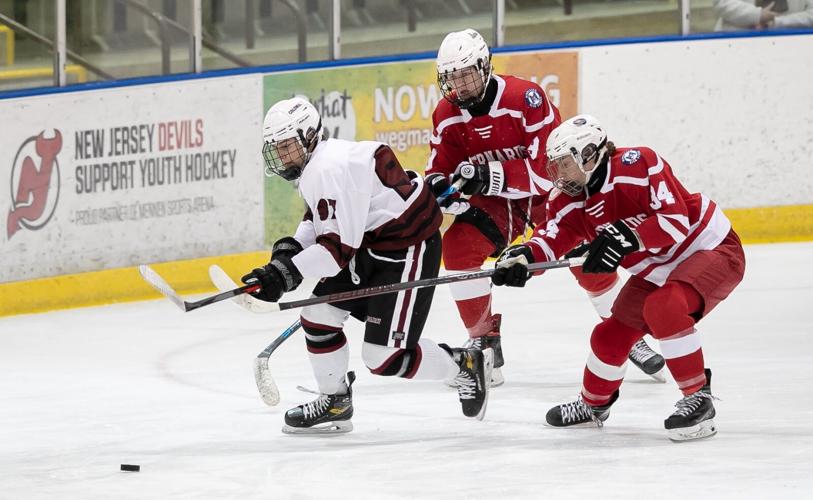 Park hockey team to begin Haas Cup play | Sports | newjerseyhills.com