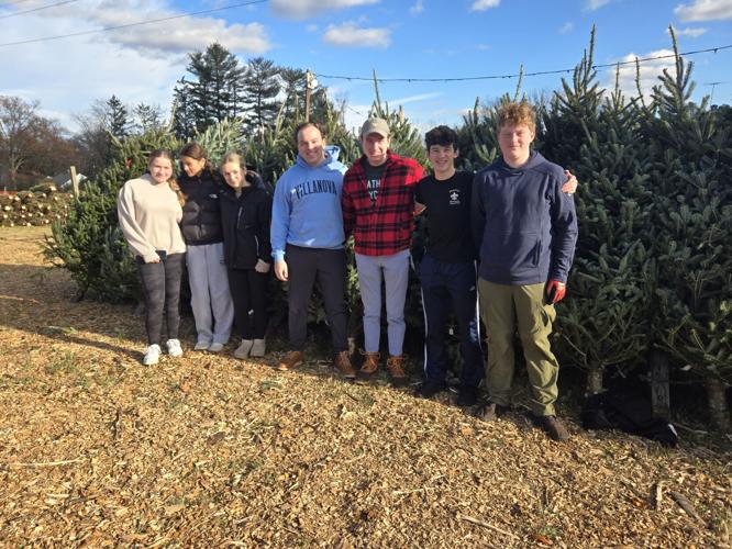 Chatham Christmas tree farms up, running, and ready for the season ...