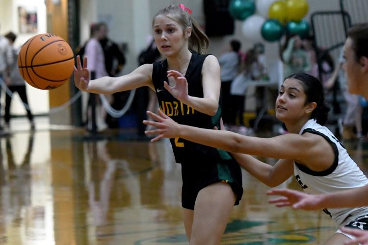 North Hunterdon wrestlers capture District 14 title | Sports ...