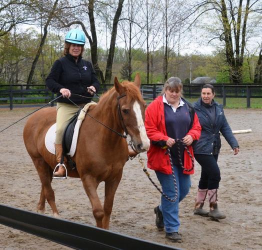 Horses at Long Valley farm are all business | News | newjerseyhills.com