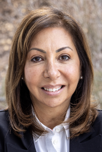 Four vying for two Watchung Borough Council seats | News ...