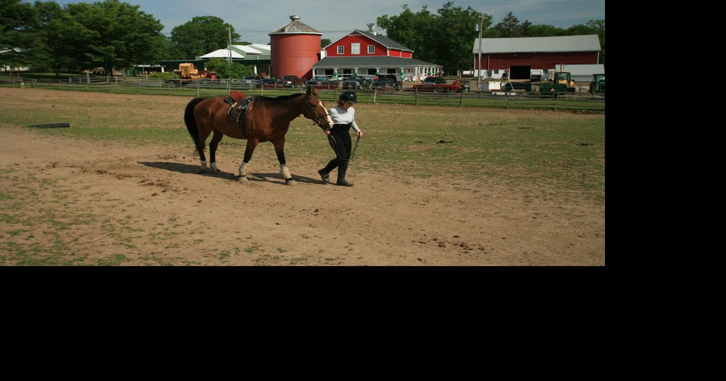 Lord Stirling Stable Update | Your News | newjerseyhills.com