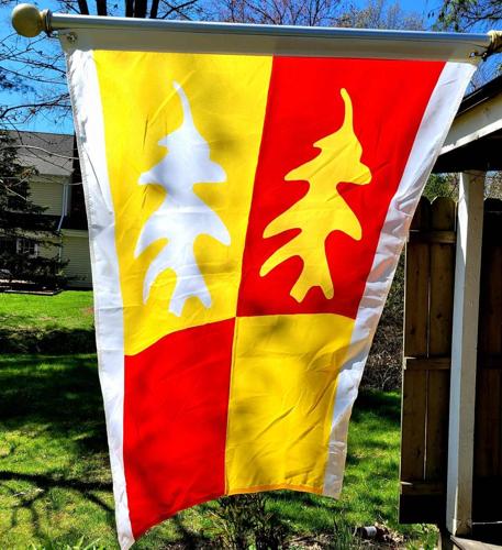 Bernards Township flag returns after 62 years | News | newjerseyhills.com