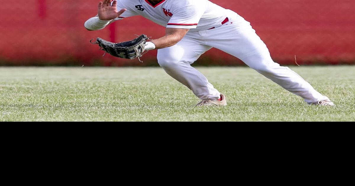 Whippany Park baseball drops sectional quarterfinal game to David ...