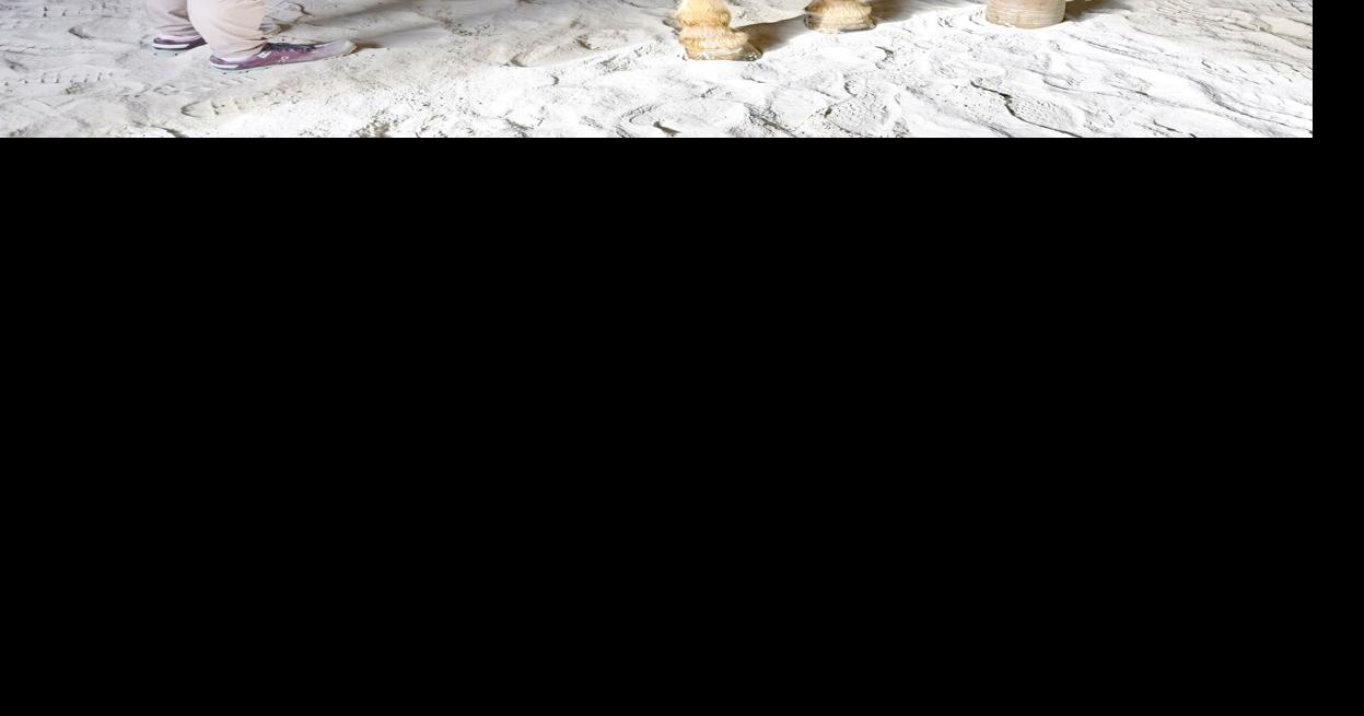 Mane Stream to host Open House for its equine related programs on ...