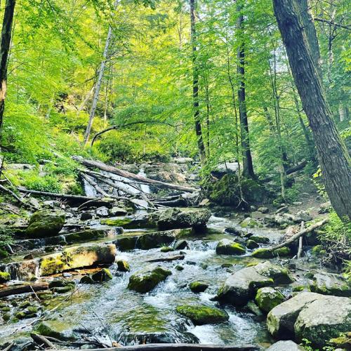 HIGHLANDS HIGHLIGHTS: The great waters of New Jersey | Opinion Columns ...