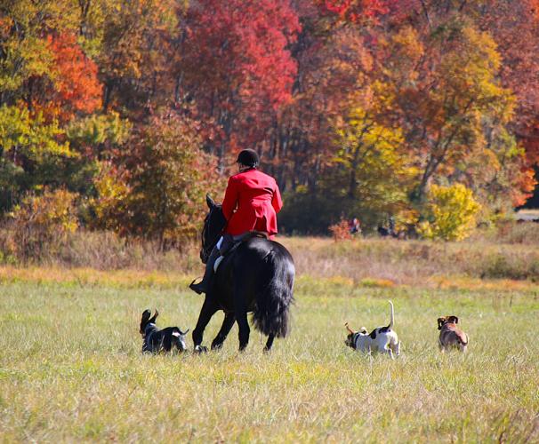 Harding Land Trust fetes open space with fall fox hunt | News ...