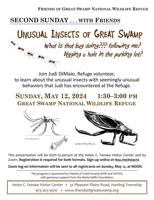 Friends of Great Swamp will host 'Unusual Insects' on Sunday, May 12 ...