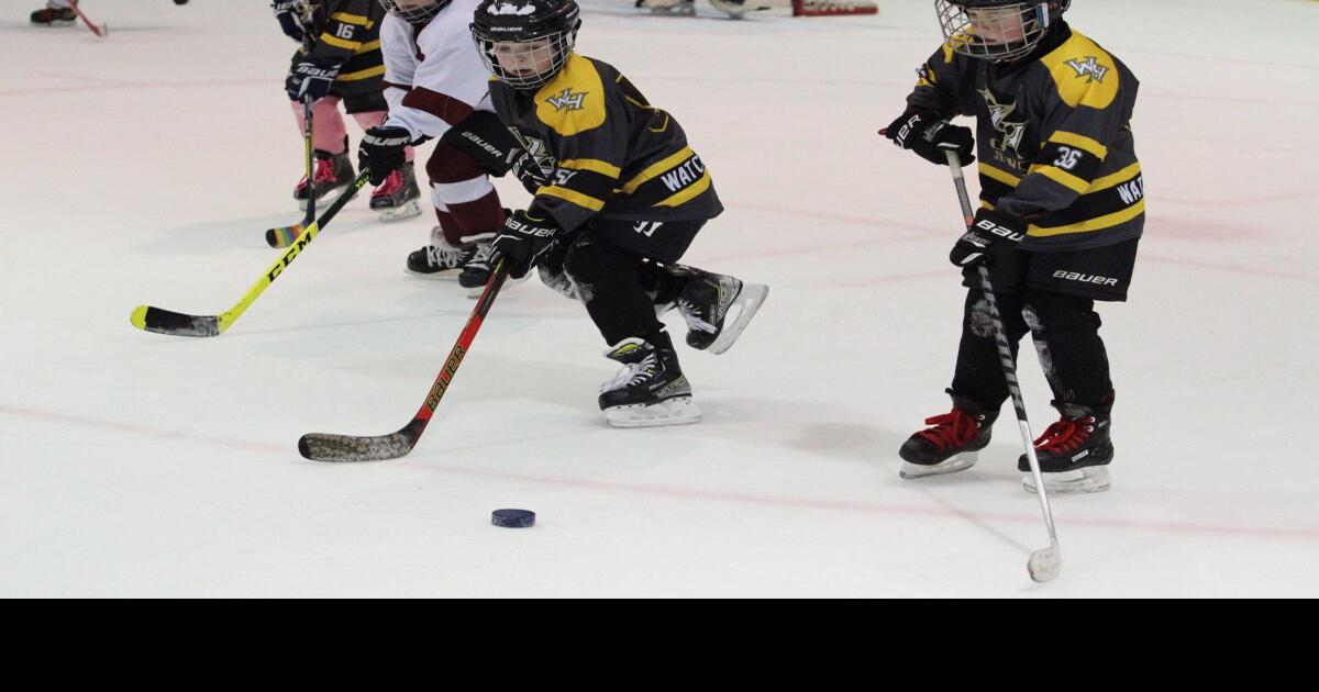 Jr. Warriors hockey teams compete | Echoes-Sentinel Sports ...