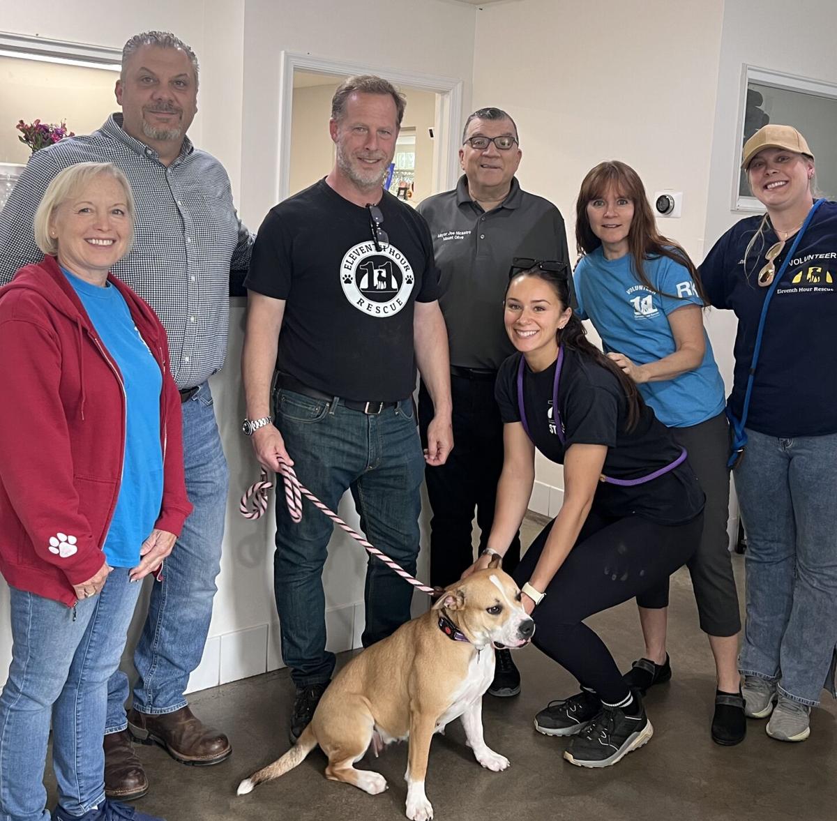 Mayor Joe Nisctro visits 11th Hour Rescue | News | newjerseyhills.com