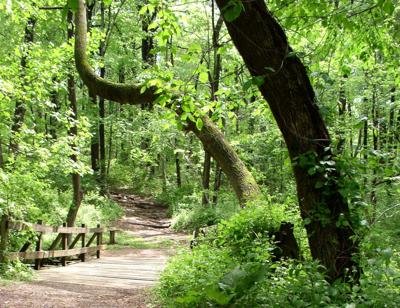 Watchung Reservation voted as one of the best hidden gem picnic spots ...