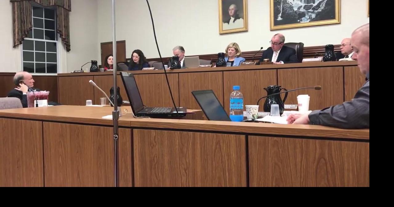 (VIDEOS) Knegten rips 'obstructive' Republicans on Watchung Library ...