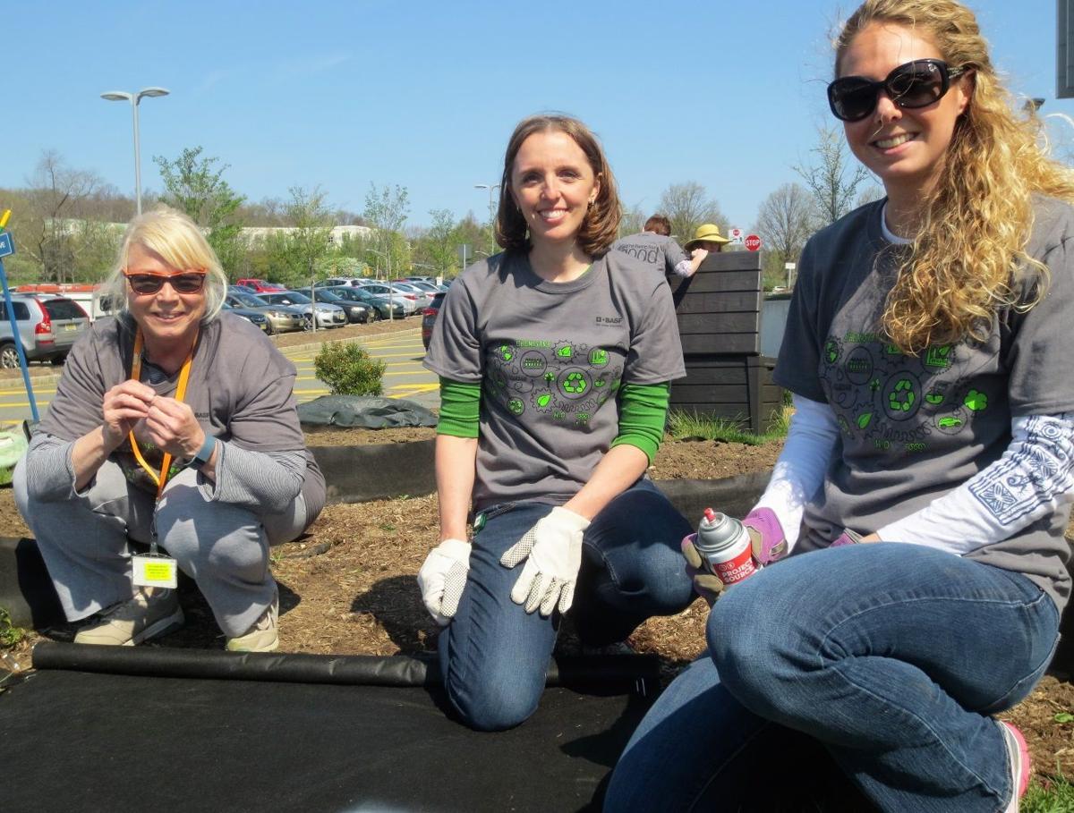 BASF employees in Florham Park work in spirit of Earth Day | Florham ...