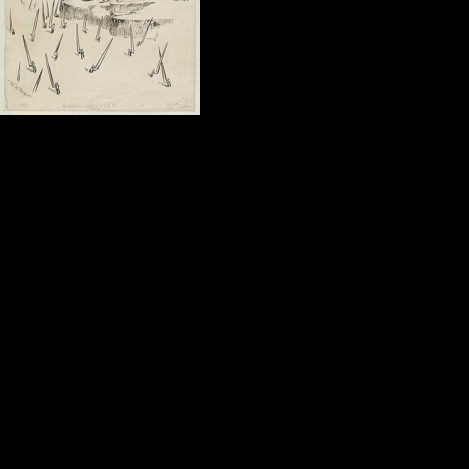 Political cartoons are focus of Kemmerer Library lecture in Harding ...