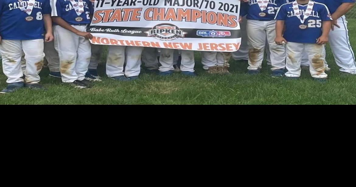 11U baseball team wins state title | The Progress Sports ...